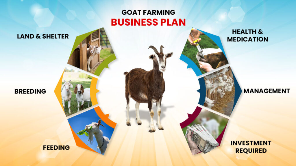 Top 10 Goat Breeds & Profitable Goat Farming Business Ideas