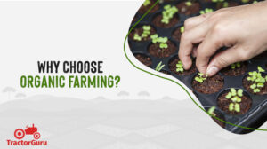 Top 20 Organic Farming FAQ – Agriculture Farming